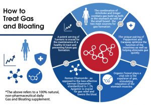 How To Find A Quality Gas and Bloating Product That Really Works?